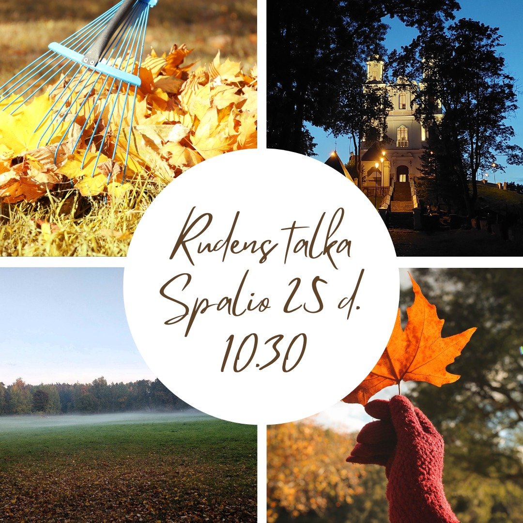 Jeruzalės bendruomenės talka | Žalias Vilnius
