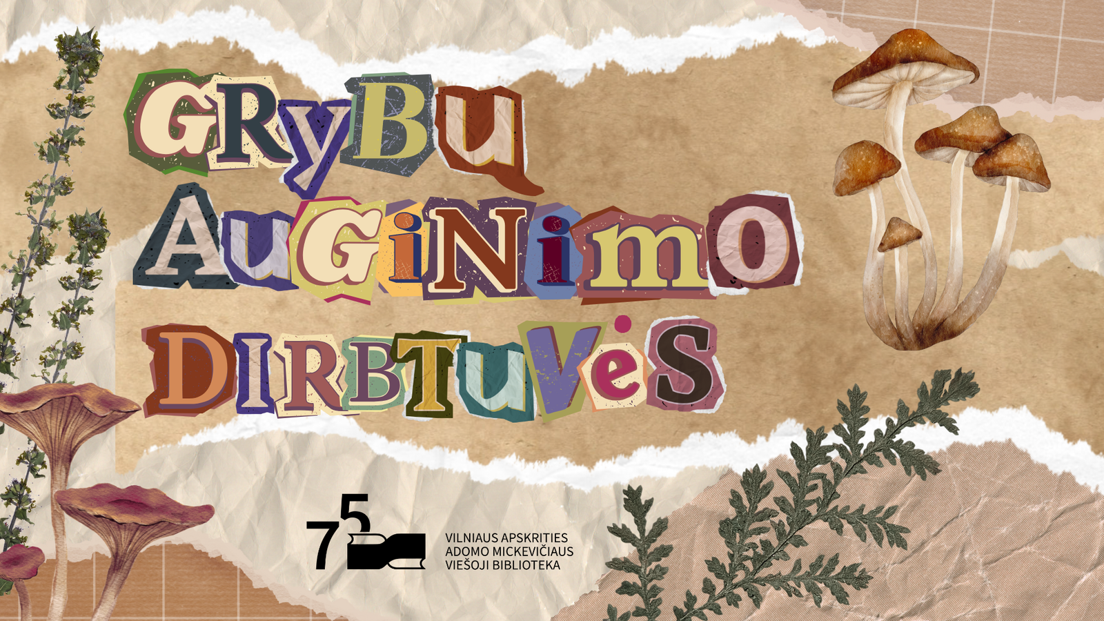 Grybų auginimo dirbtuvės: užsiaugink savo gluosnines kreivabudes ...